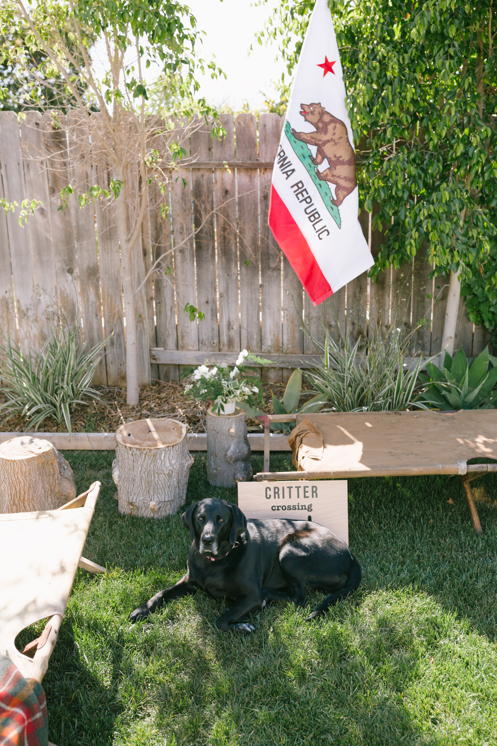 Welcome To Camp Court - Court turns 5! • Beijos Events