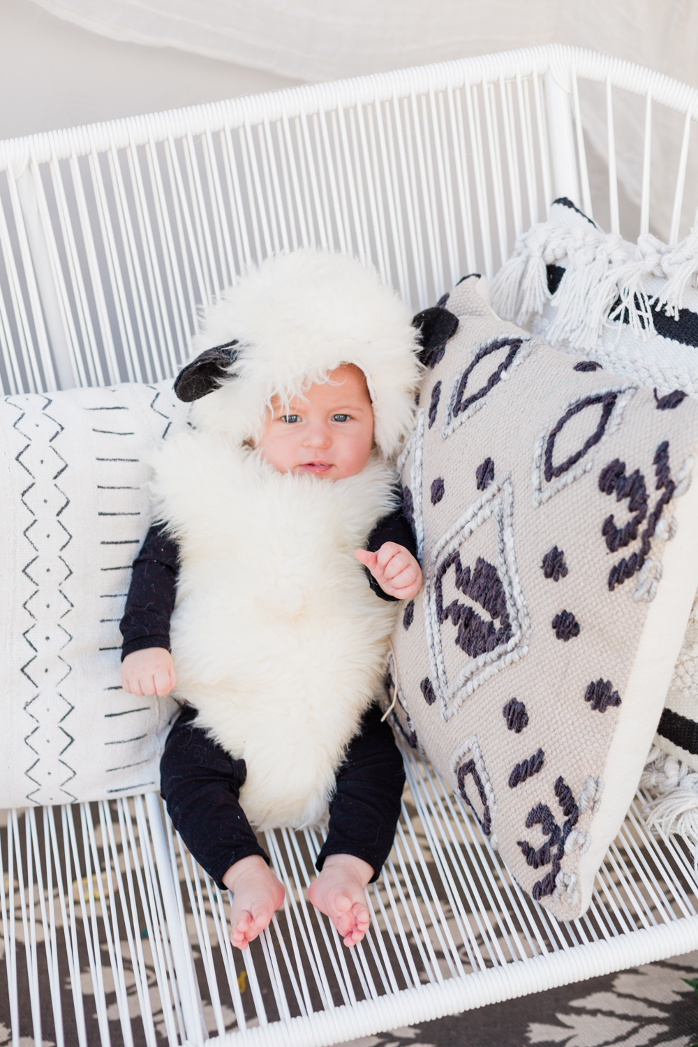Halloween Mini Sessions with Alison Bernier – 2019 – Beijos Events