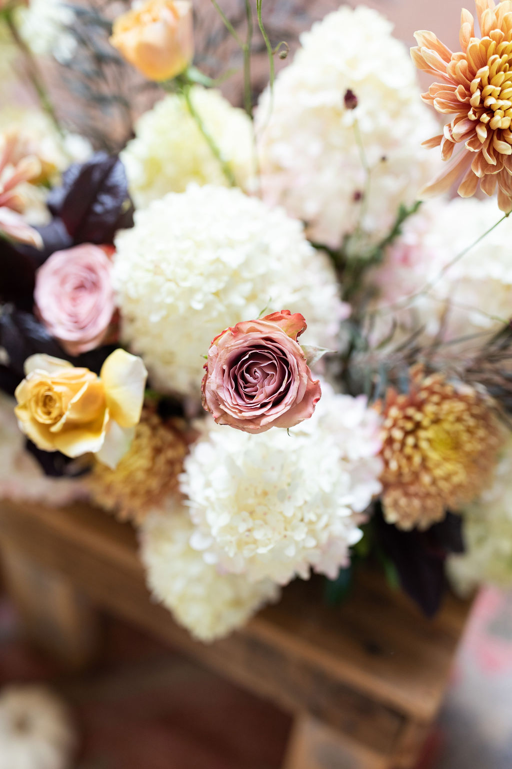 A Beautiful Blush Boo Bash for the Babes! • Beijos Events